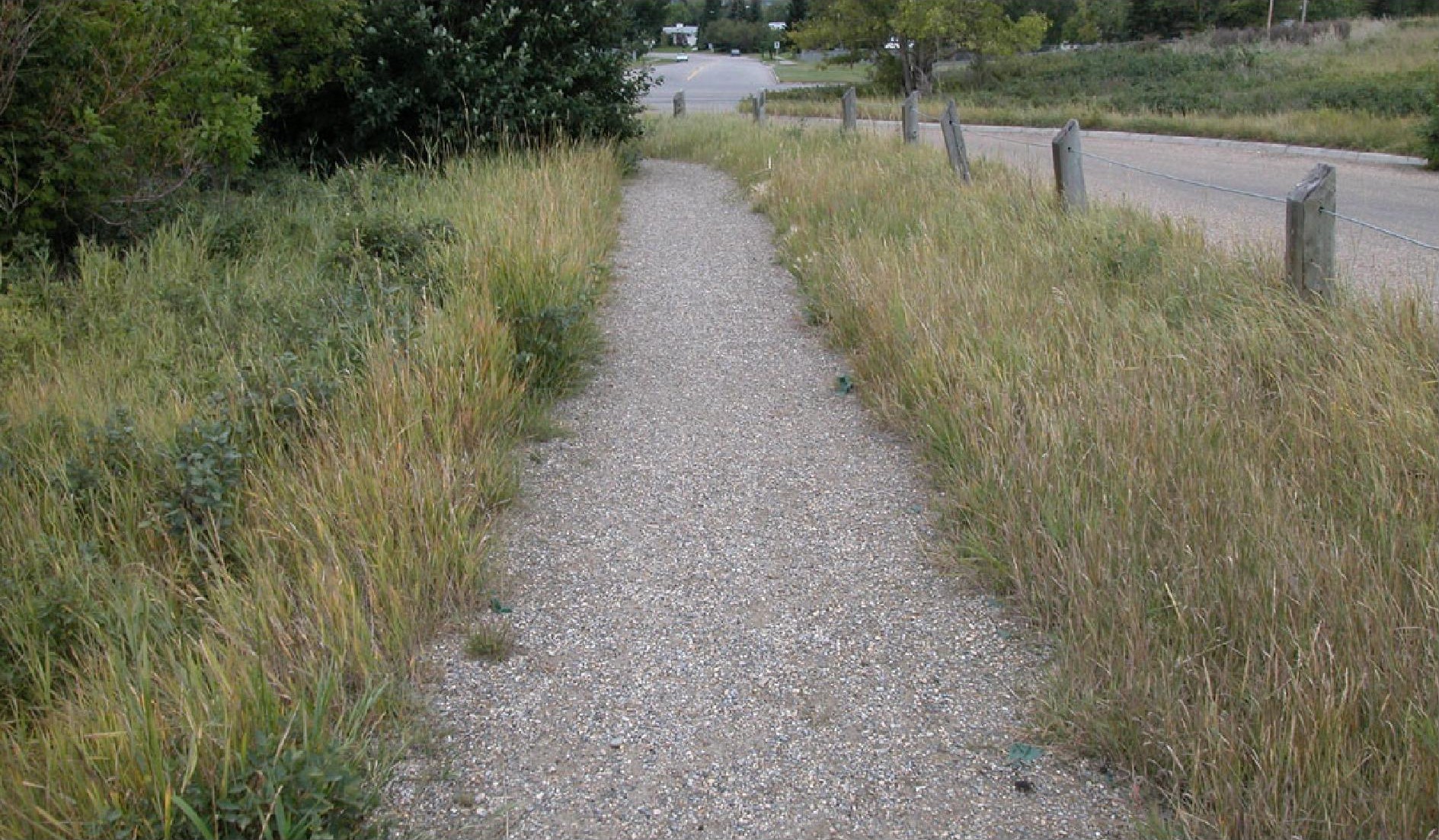 Nose Hill Park | Trail and Pathway Plan | CSLA