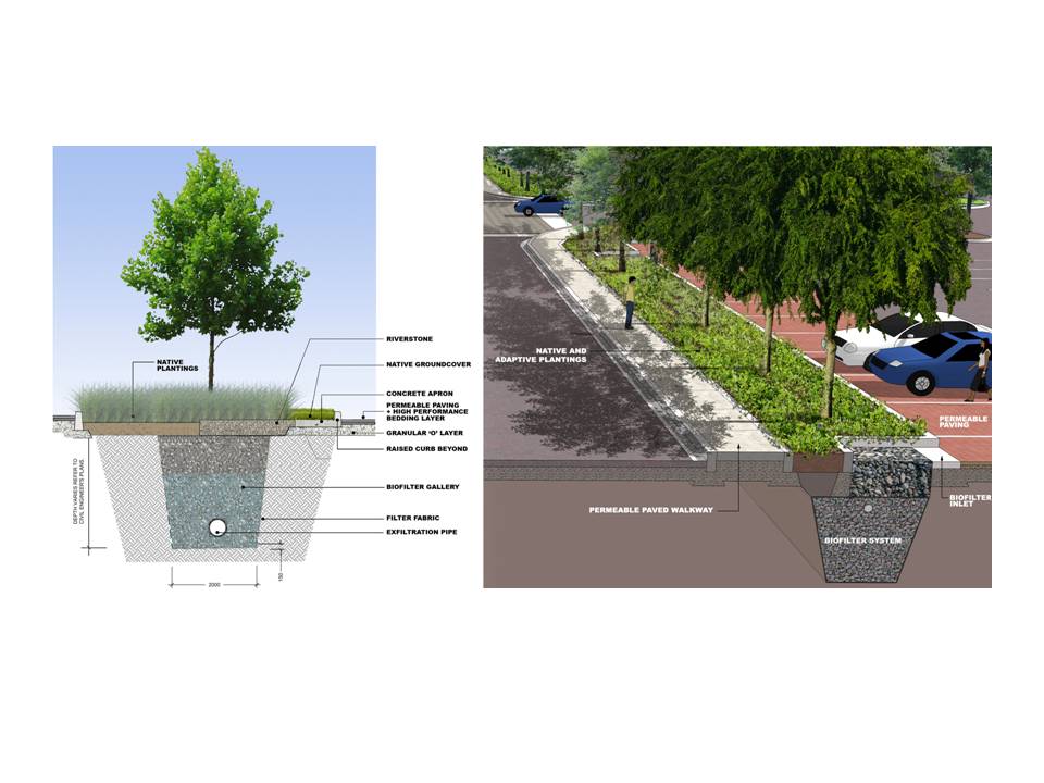 Sustainable Parking Lot Design