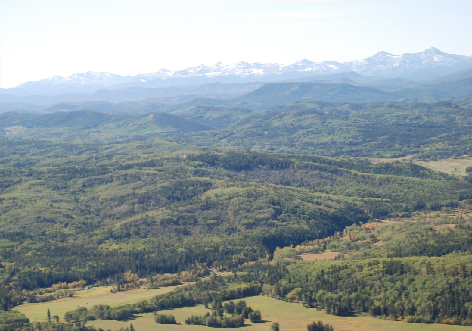 Calgary Metropolitan Plan Environment Strategies | CSLA