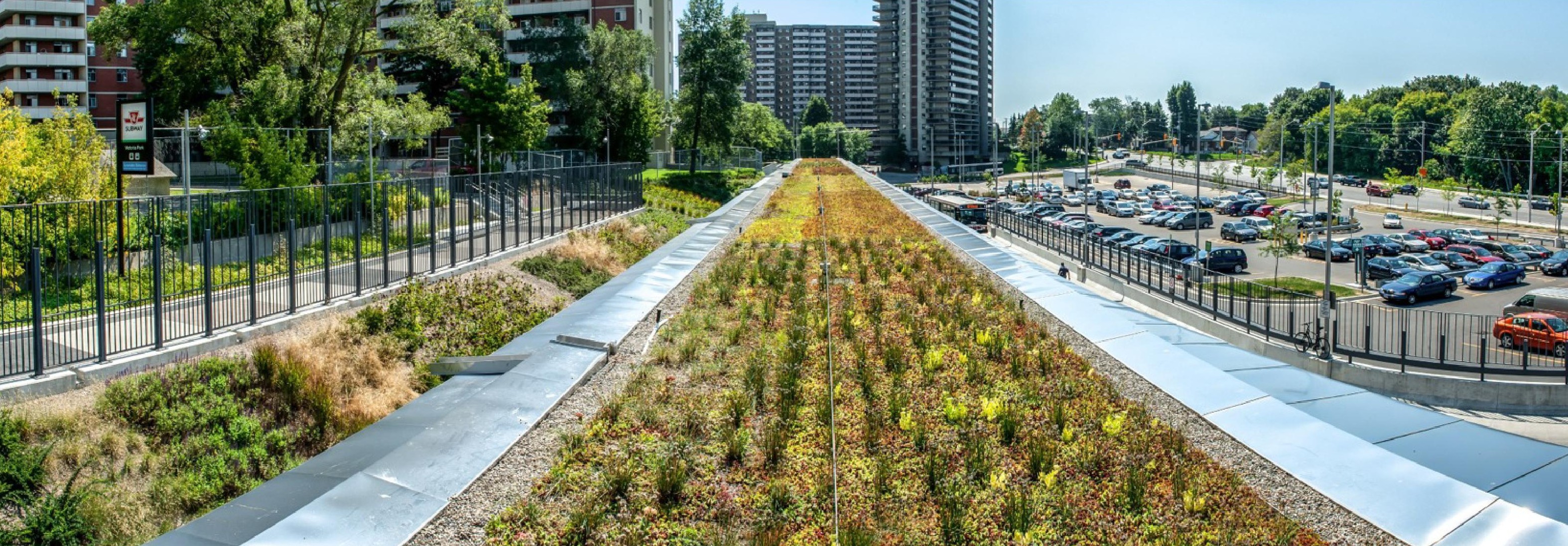 Victoria Park Subway Station - Green Roof and Landscape | CSLA